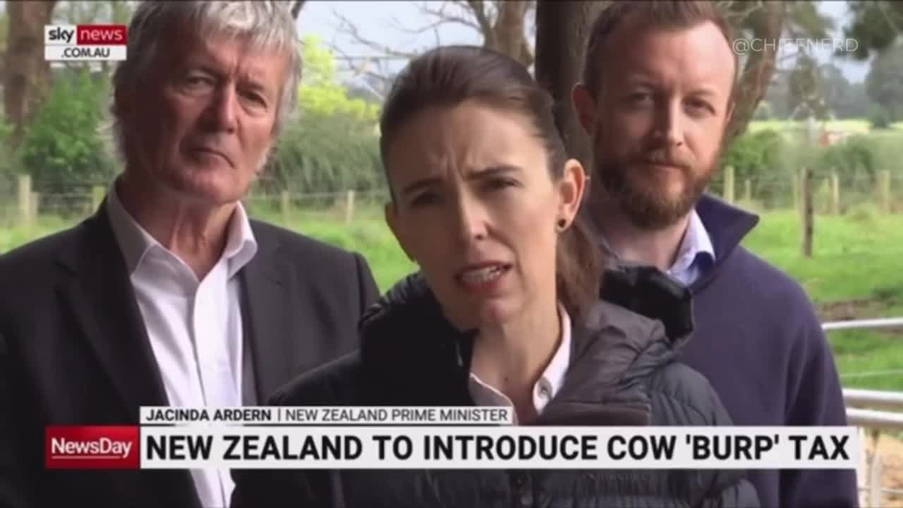 - New Zealand to Introduce Cow ‘Burp’ Tax to Tackle Climate Change ...